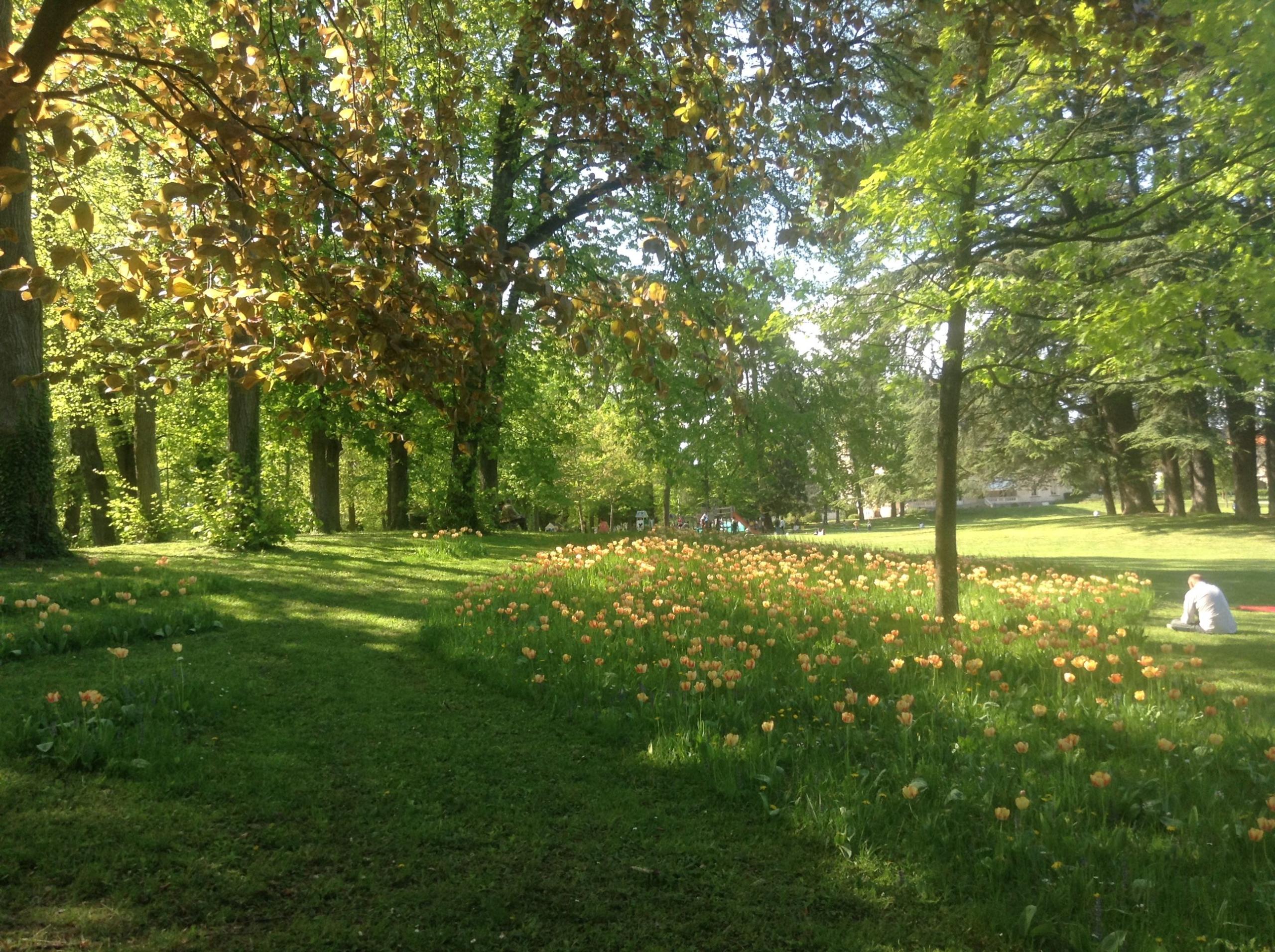 Aux portes de Lyon : Ecully, dynamique et nature, comment y aller
